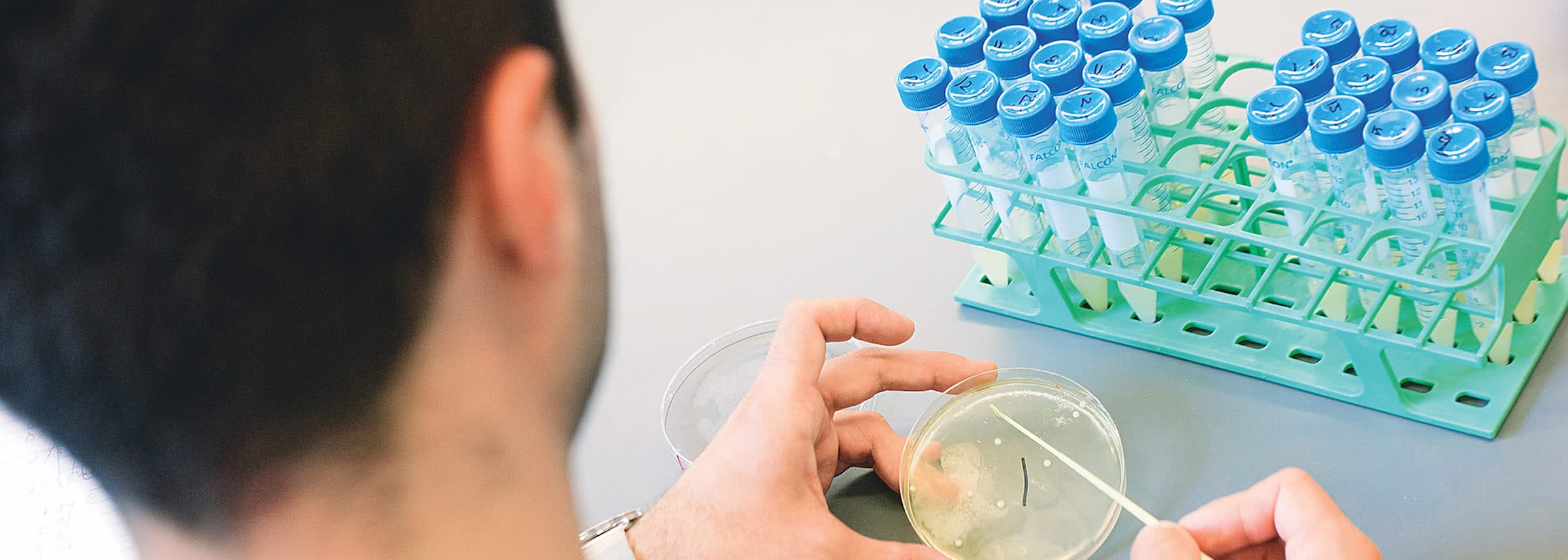 The Rockefeller University » Bioscience is what we do