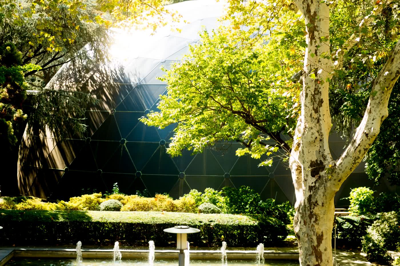 The Rockefeller University » Campus & Community