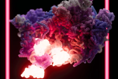 The Rockefeller University » Scientists map the portal to the cell’s ...