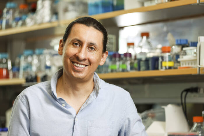 The Rockefeller University » Rockefeller tops global university ranking ...