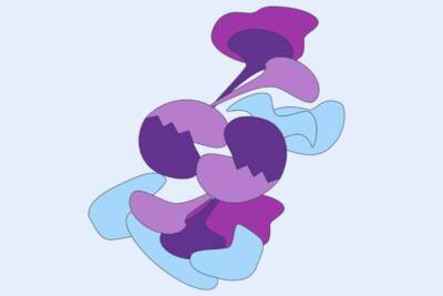 The Rockefeller University » Universal tool for tracking cell-to-cell ...