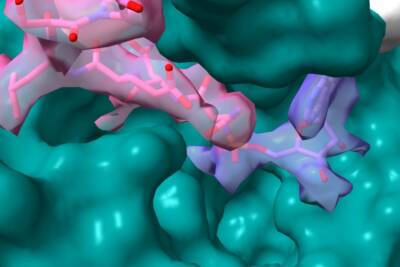 The Rockefeller University » Celebrating and remembering Mitchell ...