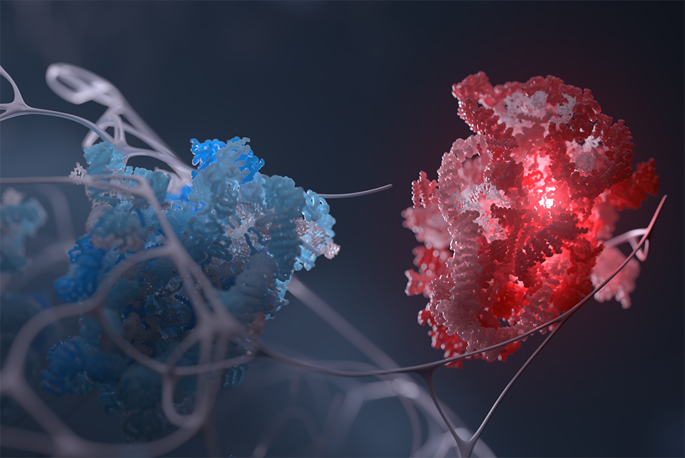 The Rockefeller University » Scientists discover new method for ...