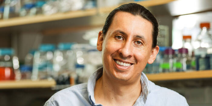 The Rockefeller University » Steve L. Bonilla