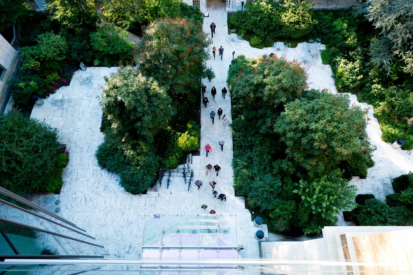 The Rockefeller University » Postdoctoral Research at Rockefeller