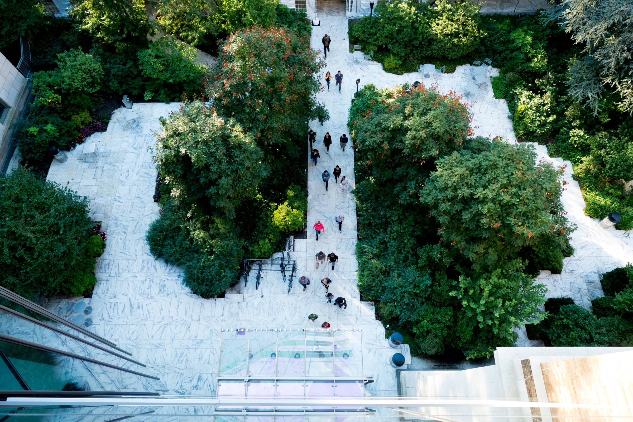 The Rockefeller University » Postdoctoral Research at Rockefeller