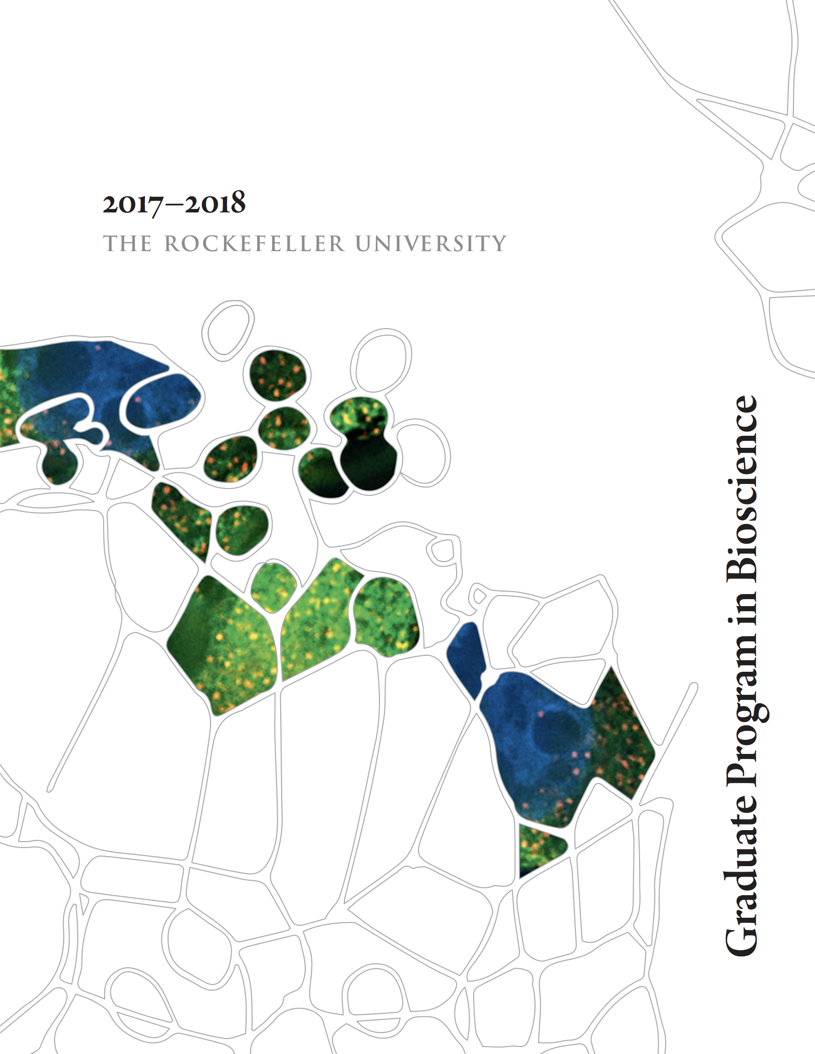 The Rockefeller University » University Publications
