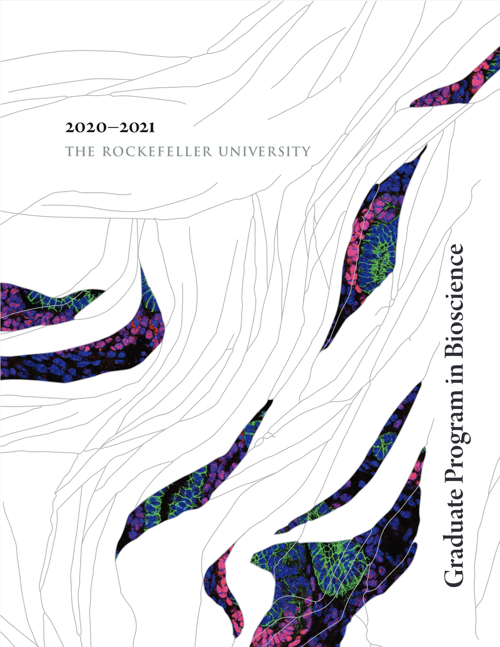 The Rockefeller University » University publications