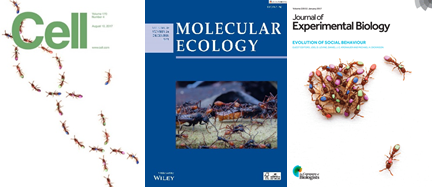 The Rockefeller University » Publications