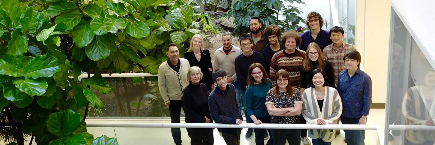 The Rockefeller University » Lulu and Anthony Wang Laboratory of Neural ...