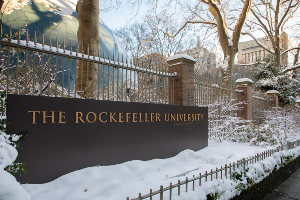 The Rockefeller University