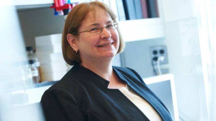 The Rockefeller University