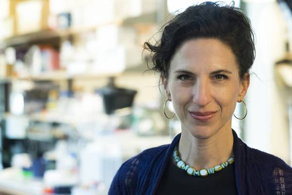 The Rockefeller University » Vanessa Ruta named a 2019 MacArthur Fellow