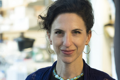 The Rockefeller University » Three Rockefeller researchers are named ...