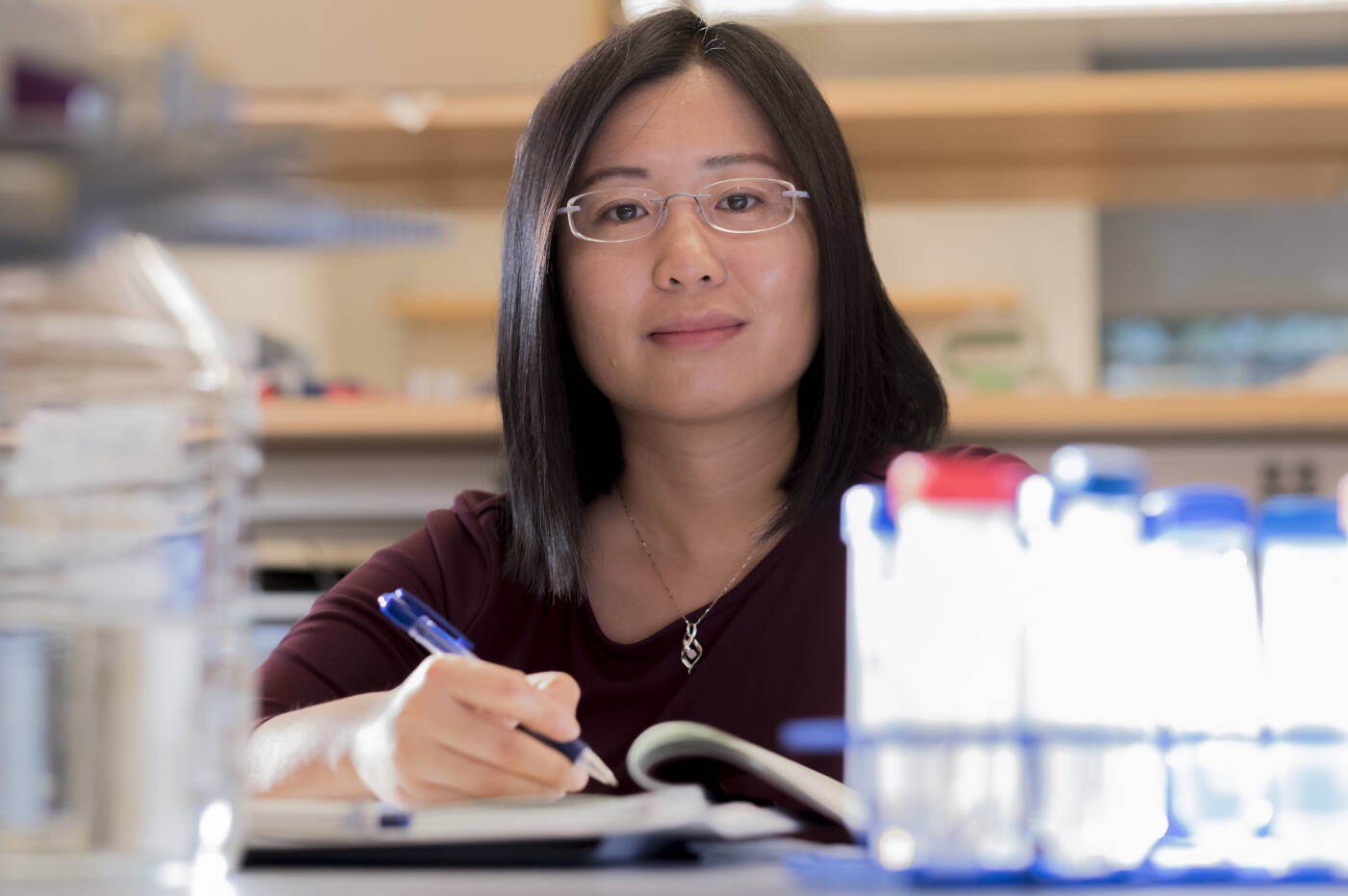 The Rockefeller University » Seeking the origin story of de novo genes