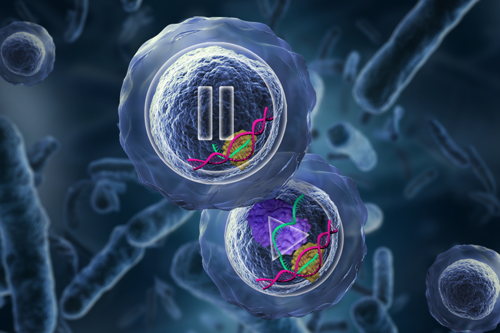 SEnd-seq offers a novel paradigm for understanding bacterial ...