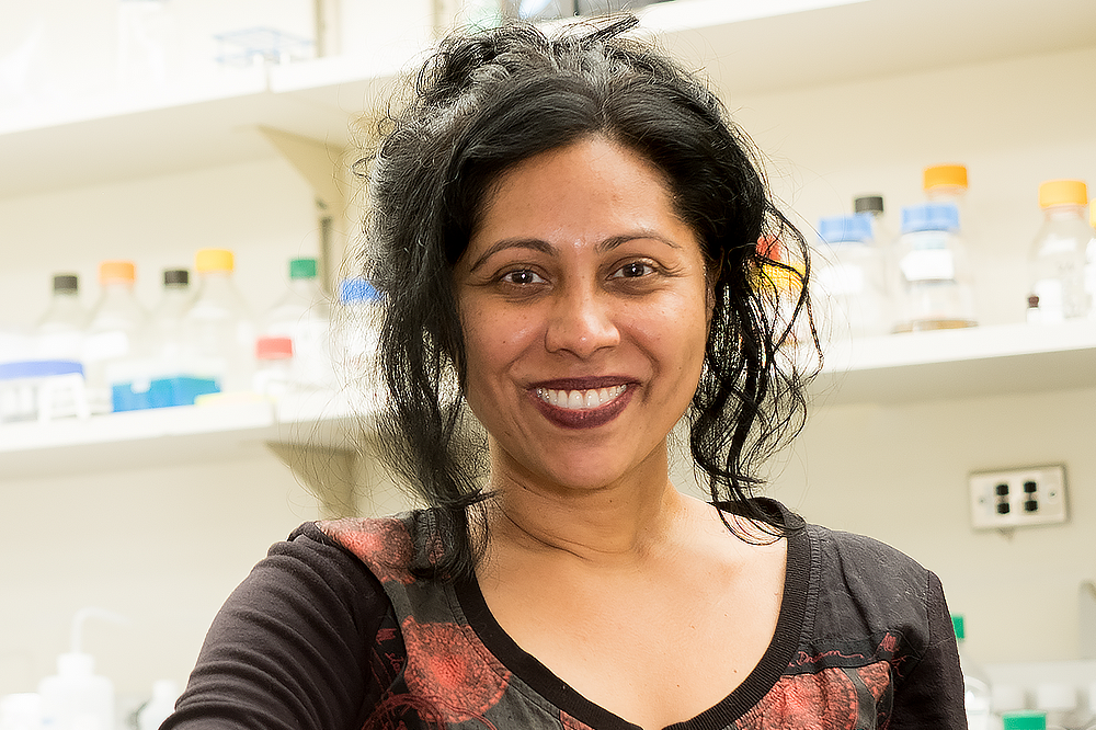 The Rockefeller University » Elizabeth Campbell launches Laboratory of Molecular Pathogenesis