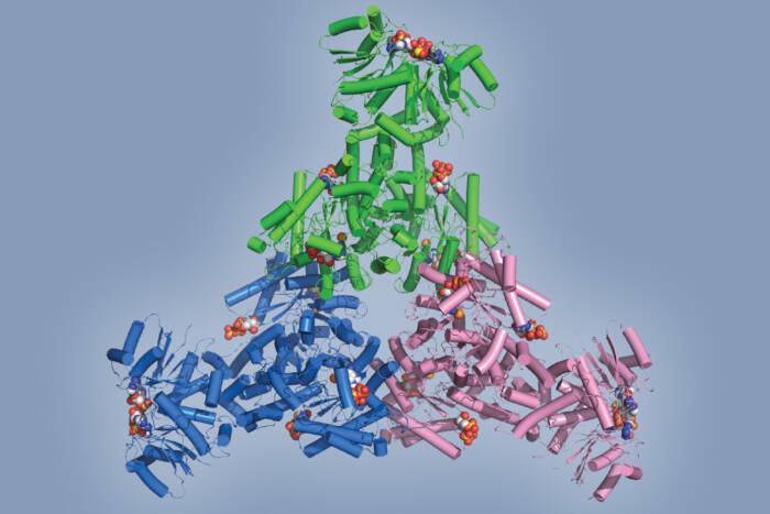 The Rockefeller University » A new chemistry for CRISPR