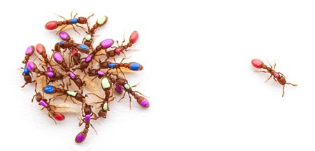 The Rockefeller University » What ants can teach us about the ...