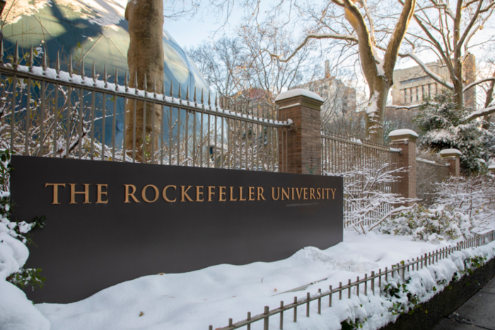 The Rockefeller University » Rockefeller exceeds NYC Carbon Challenge goals 5 years ahead of ...