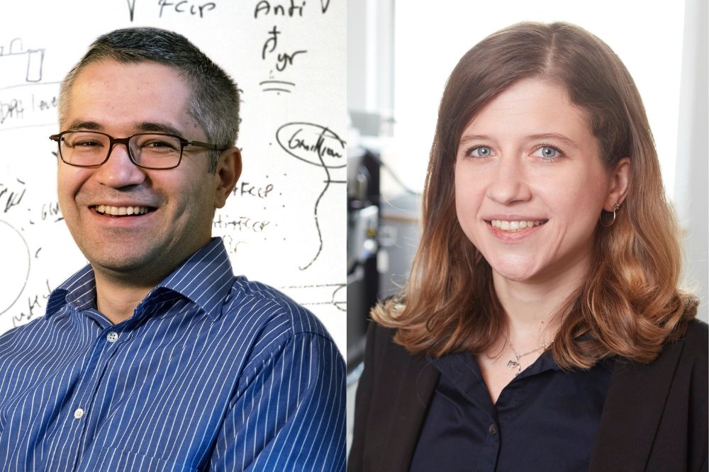 The Rockefeller University » Two Rockefeller researchers chosen for the ...