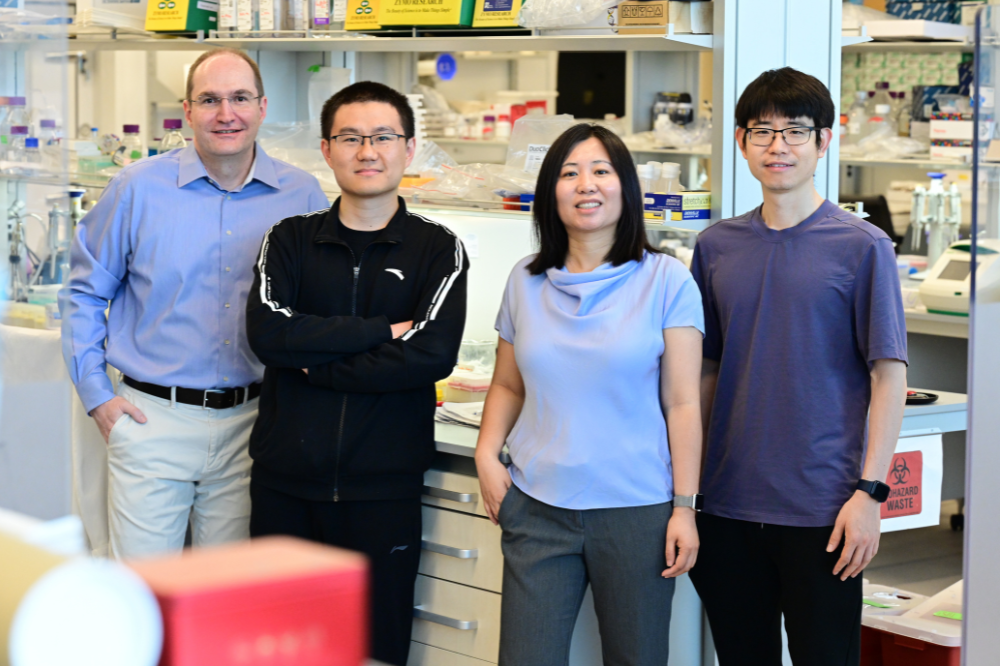 How New Genes Get Switched On - BioQuick News