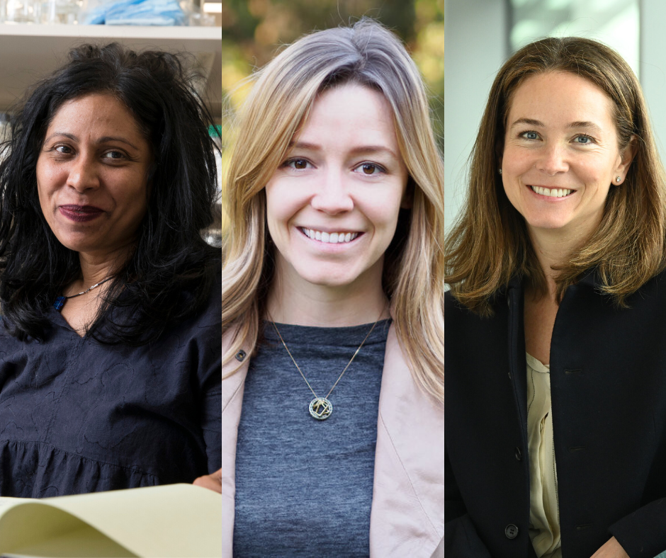 The Rockefeller University