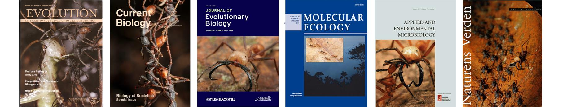 The Rockefeller University » Publications